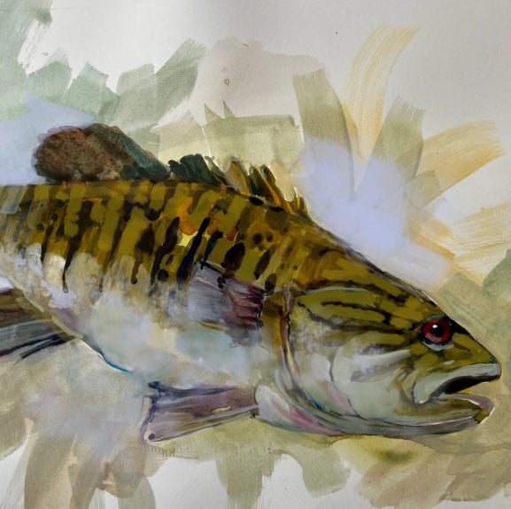 Smallmouth Bass by Artist Dirk Walker – Seibels Cottage